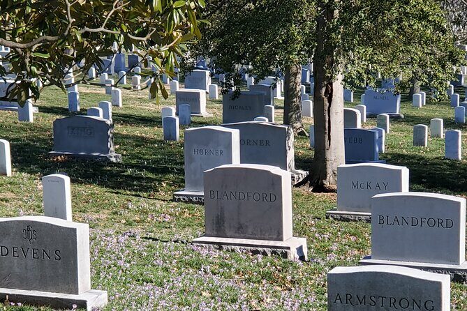Visit Arlington National Cemetery with one of DC's best guides! - What Reviewers Say