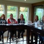 Visit Niagara Falls and experience a VIP Wine Tour - The Scenic Drive to Niagara-on-the-Lake
