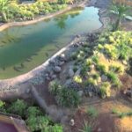 Visite the Crocodiles Park and Botanic garden - A Detailed Look at the Crocodiles Park and Botanic Garden Experience