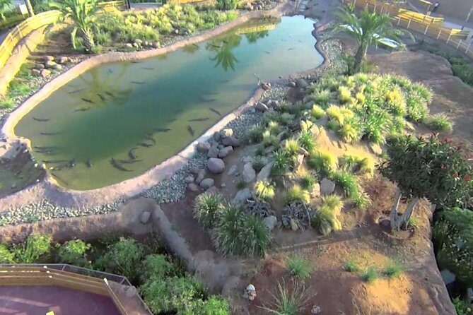 Visite the Crocodiles Park and Botanic garden - A Detailed Look at the Crocodiles Park and Botanic Garden Experience