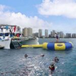 Waikiki: 5-in-1 Turtle Snorkeling Trip with Transfer - The Itinerary in Detail