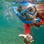 Waikiki: Honolulu Beginner Snorkeling Tour with Videos - The Practicalities: Timing, Equipment, and Tips