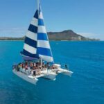 Waikiki: Sail and Turtle Snorkel Experience - What’s Included and What to Expect