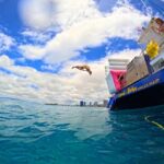 Waikiki Snorkeling and Ocean Waterpark Adventure - The Itinerary: What to Expect