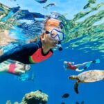 Waikiki: Snorkeling & Ocean Playground Experience - Who Will Love This Tour?