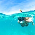 Waikiki: Turtle Snorkeling Cruise with 20ft Jumping Platform - Snorkeling and Marine Life