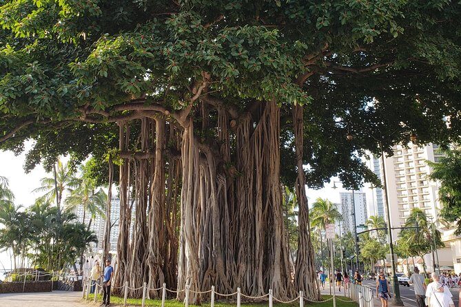 Waikiki Walking Tour, Treats, Free Video and Pics! - Why You Should Consider This Tour