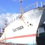 Waikikis Best Wreck And Reef Dive - Reef Dives: A Relaxed Encounter for All