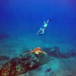 Wailea Beach: Guided Sea Scooter Snorkeling Tour - Why This Tour Excels