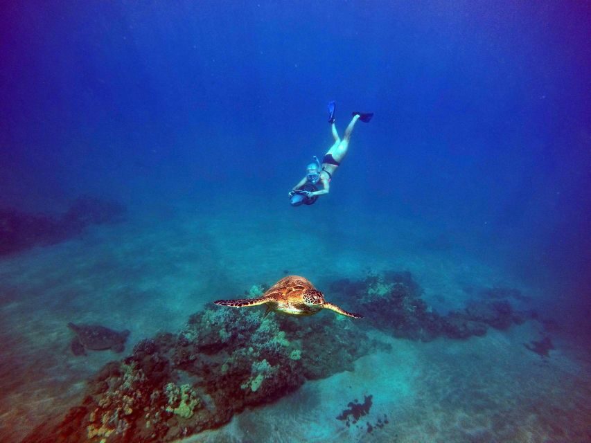 Wailea Beach: Guided Sea Scooter Snorkeling Tour - Why This Tour Excels