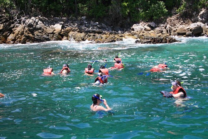 Walk And Snorkel In The National Park HT - A Closer Look at the Details