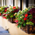 Walking history tour Charleston SC - The Value of a Guided Walk in Charleston