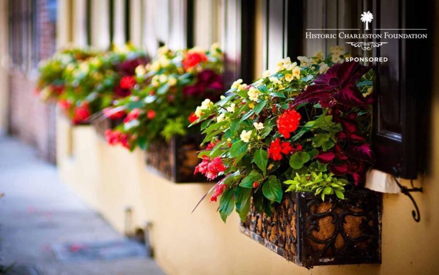 Walking history tour Charleston SC - The Value of a Guided Walk in Charleston