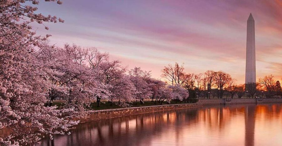 Washington: Cherry Blossom Tour - Who Will Love This Tour?