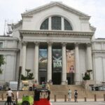 Washington D.C. Natural History Museum Family Scavenger Hunt - How Does It Compare to Other Tours?