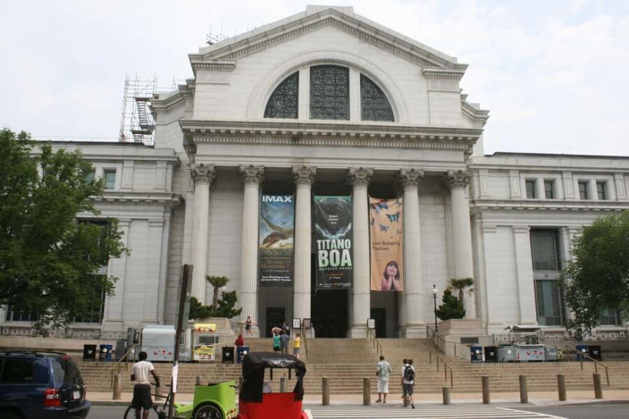 Washington D.C. Natural History Museum Family Scavenger Hunt - How Does It Compare to Other Tours?