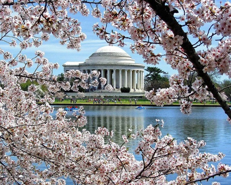 Washington DC: Cherry Blossom Walking Tour - Who Should Consider This Tour?