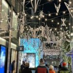 Washington, DC: Christmas Tree & Holiday Lights Bus Tour - The Historic Willard Hotel