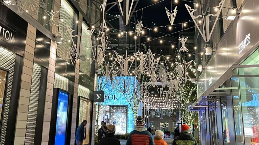 Washington, DC: Christmas Tree & Holiday Lights Bus Tour - The Historic Willard Hotel