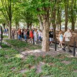 Washington DC Day Trip by Bus from New York City - What’s Included & What’s Not