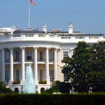 Washington DC: Highlights Guided Walking Tour - What to Expect During the Tour