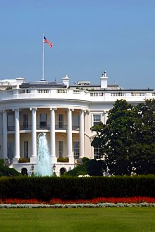 Washington DC: Highlights Guided Walking Tour - What to Expect During the Tour