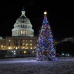 Washington, DC: Holiday Lights Nighttime Bus Tour - Value for Money