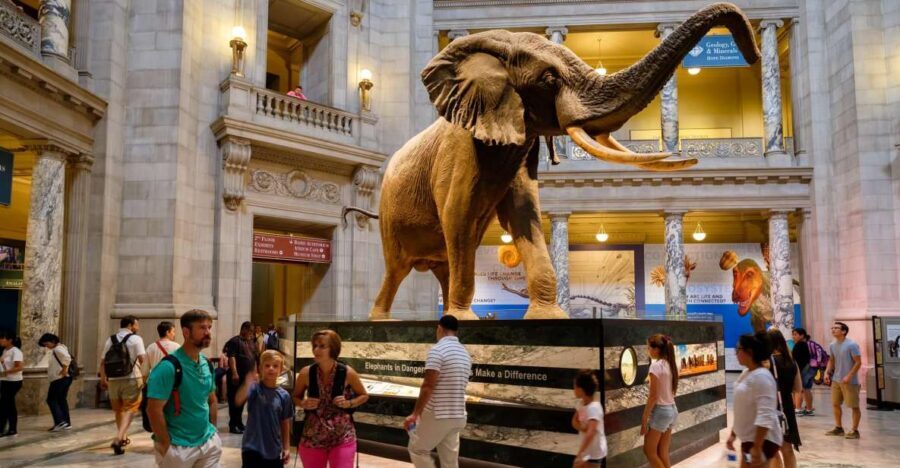 Washington DC: Museum of Natural History Private Guided Tour - Who Should Book This Tour?