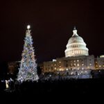 Washington, DC: National Mall and Memorials Moonlight Tour - Honest Reflections Based on Reviews