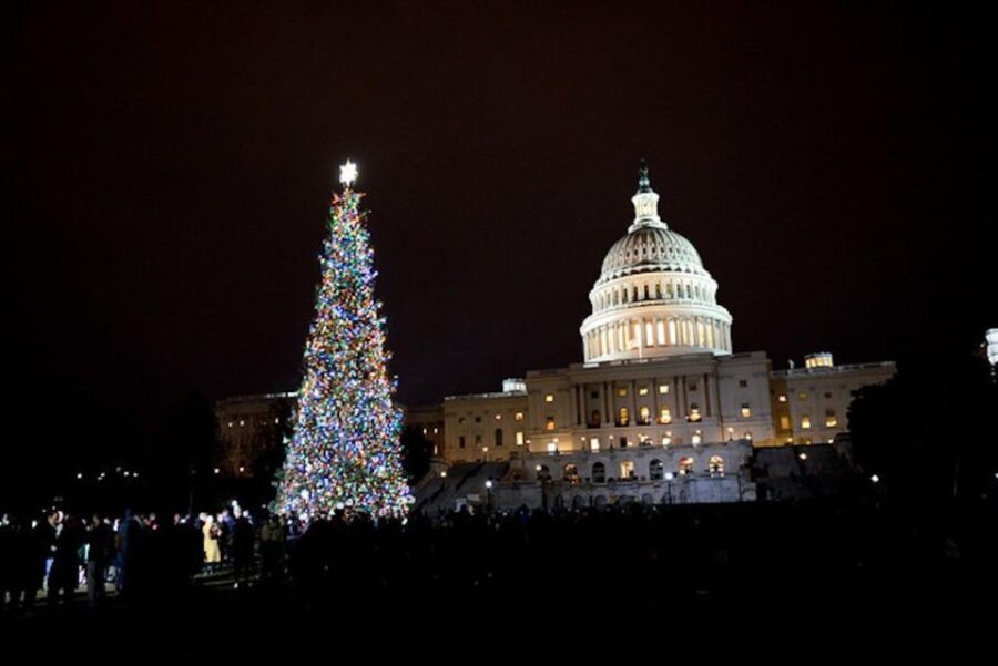Washington, DC: National Mall and Memorials Moonlight Tour - Honest Reflections Based on Reviews
