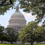 Washington DC: Nighttime Express Sightseeing Tour - The Guide and Group Size