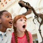 Washington DC Smithsonian Natural History Private Tour - Who Should Consider This Tour?
