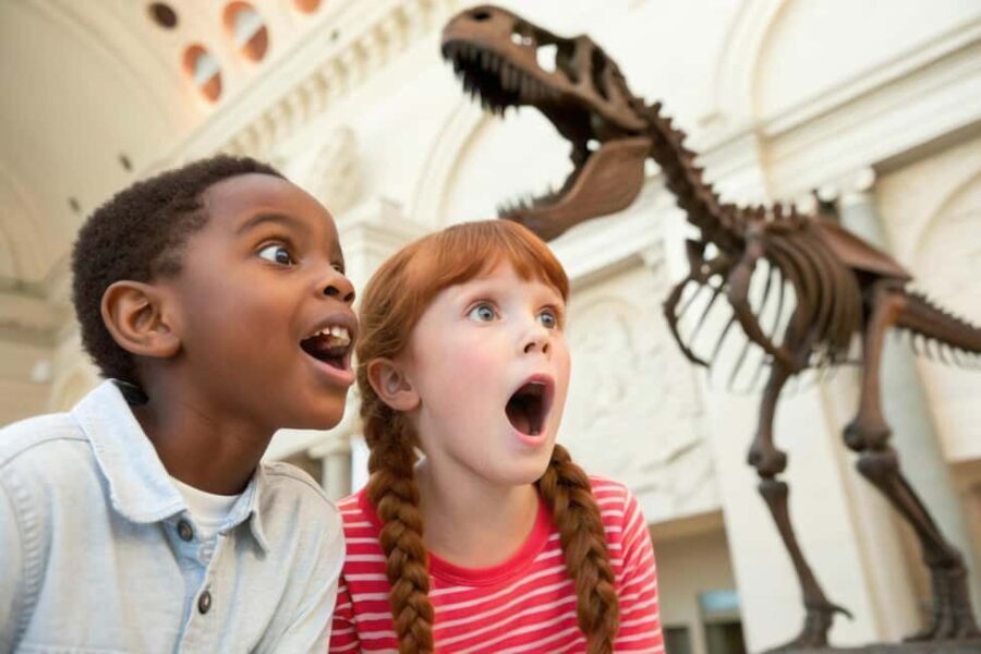 Washington DC Smithsonian Natural History Private Tour - Who Should Consider This Tour?