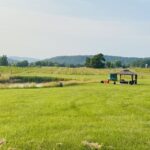Washington, DC: Virginia Wine Region Experience Tour - An In-Depth Look at the Itinerary