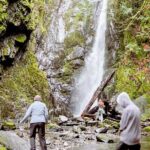 Waterfall, Skywalk, Lagoon Picnic, Castle and Whales in Victoria - Who Should Consider This Tour?