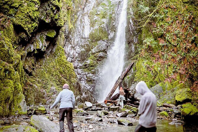 Waterfall, Skywalk, Lagoon Picnic, Castle and Whales in Victoria - Who Should Consider This Tour?
