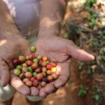Waterfalls, Coffee and Adventure Tour, Huatulco - Who Would Enjoy This Tour?