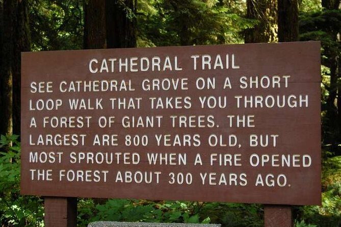 Waterfalls, Coombs and Cathedral Grove Rainforest Tour - Waterfalls, Coombs and Cathedral Grove Tour: What You Can Expect