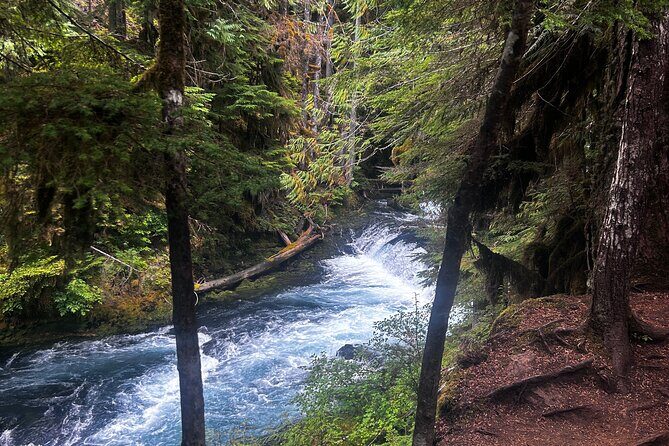 Waterfalls & the McKenzie River in a Tesla - The Value of a Private, Curated Experience