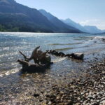 Waterton National Park Full-Day Private Tour From Calgary - The Experience: What Makes It Stand Out