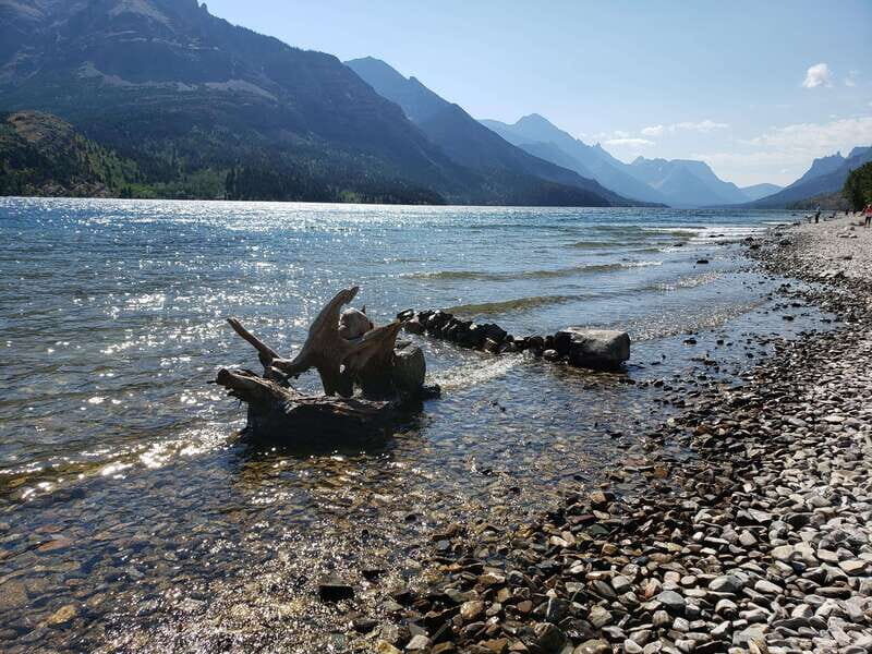 Waterton National Park Full-Day Private Tour From Calgary - The Experience: What Makes It Stand Out