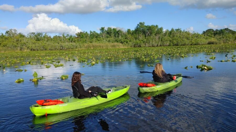 Wekiva Wildlife kayaking Adventure Tour - Who Will Love This Tour?