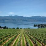 West Kelowna Full Day Lunch Wine Tour-Incl Tastings & Guide Grat - What Reviewers Say