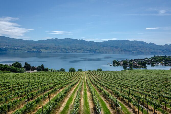 West Kelowna Full Day Lunch Wine Tour-Incl Tastings & Guide Grat - What Reviewers Say
