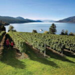 West Kelowna: Wine Tour with Tastings - Final Thoughts