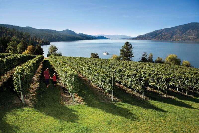 West Kelowna: Wine Tour with Tastings - Final Thoughts