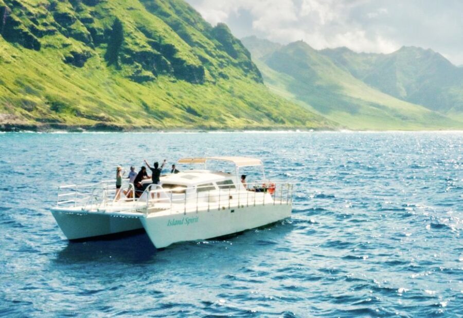 West O'ahu: Dolphin Watching and Snorkeling Catamaran Cruise - Who Will Love This Tour?