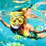West Oahu: Turtles, Dolphins, and Snorkeling Tour with Lunch - The Itinerary in Detail