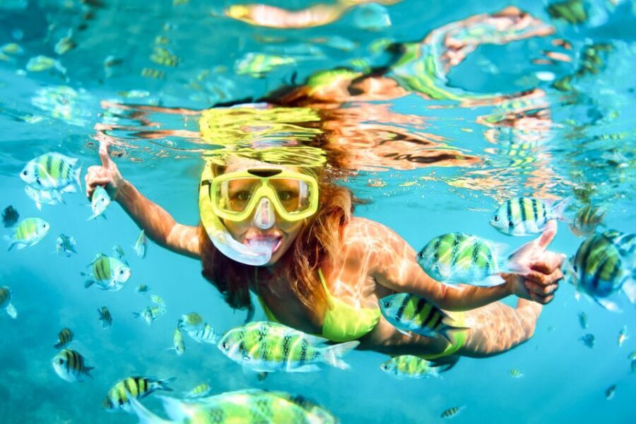 West Oahu: Turtles, Dolphins, and Snorkeling Tour with Lunch - The Itinerary in Detail