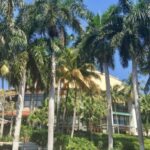 Wet & Dry Fort Lauderdale - Analyzing Value and Experience
